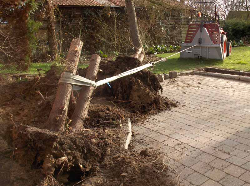 Bomen & Struiken vellen | Ludo Pira Machinale Tuinwerken