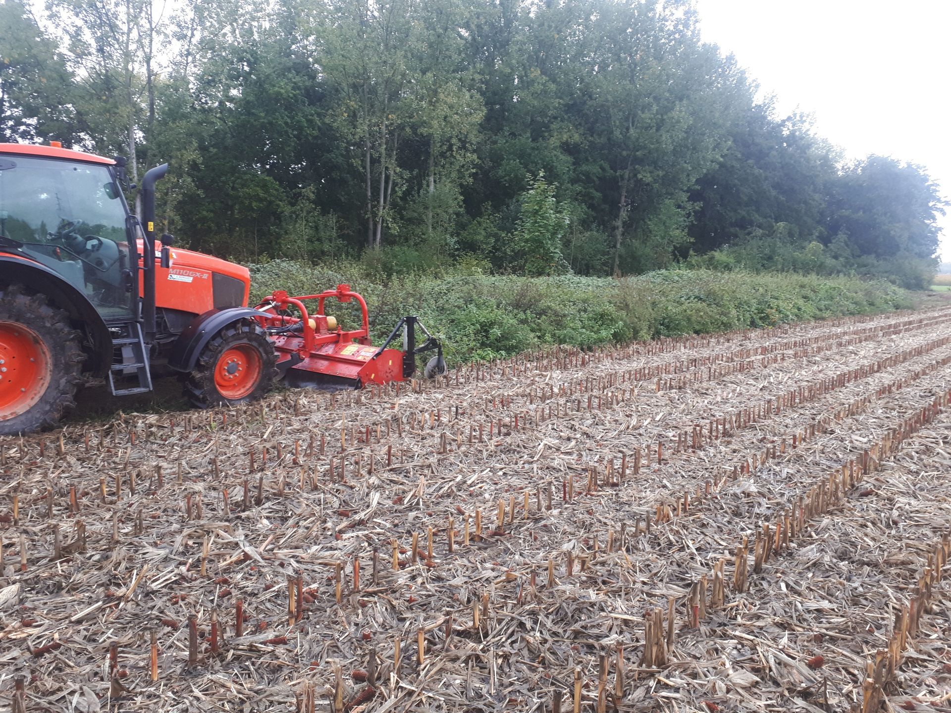 Wildgroei maaien | Ludo Pira Machinale Tuinwerken